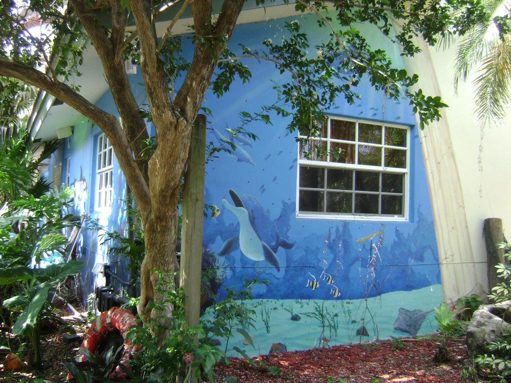 Seascape & Ocean Murals – Art By Beata – San Diego Muralist